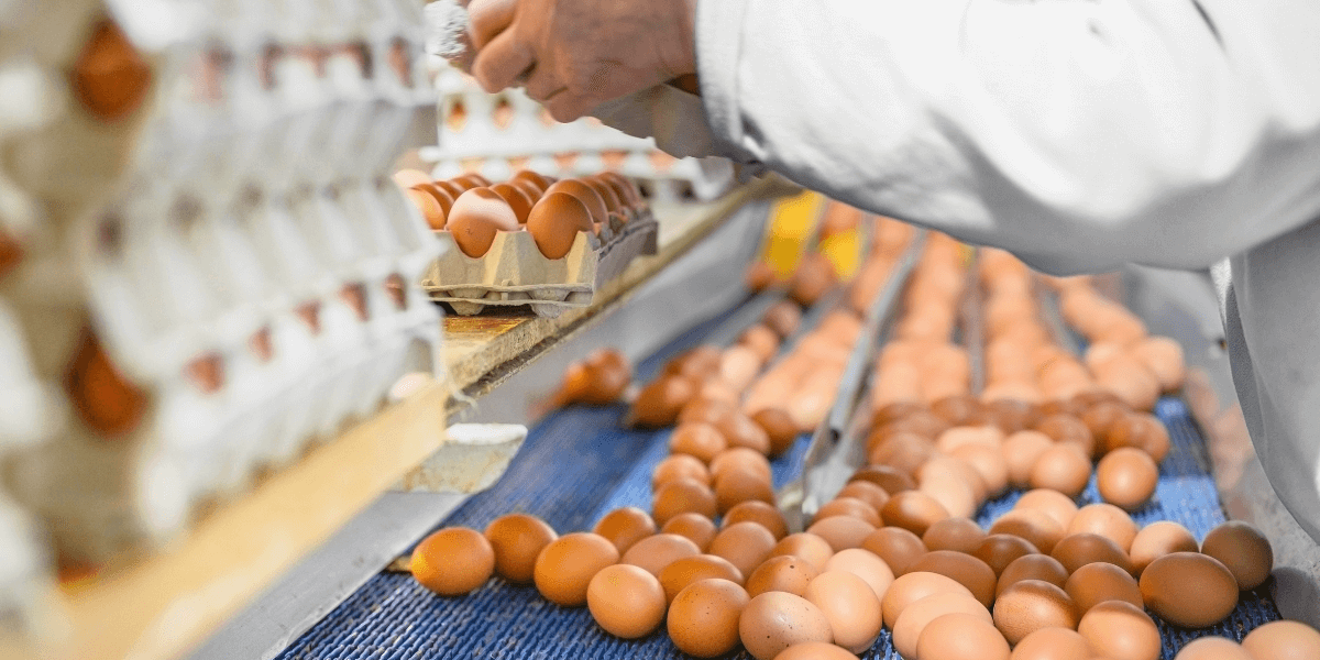 Food Production Facility Design | Blue Collar Engineer | 3D Scanning